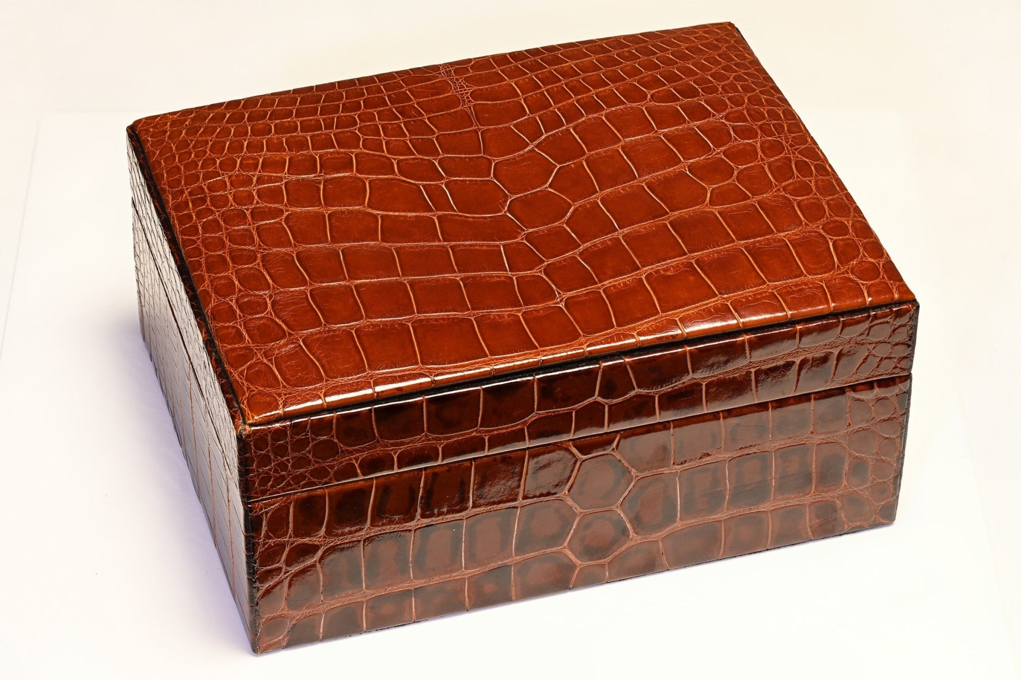 Limited Edition Brown Alligator Cigar Protector Humidor